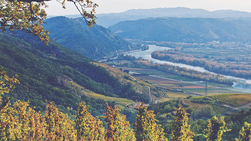 Rhone Valley | Bordeaux Index Fine Wine & Spirits